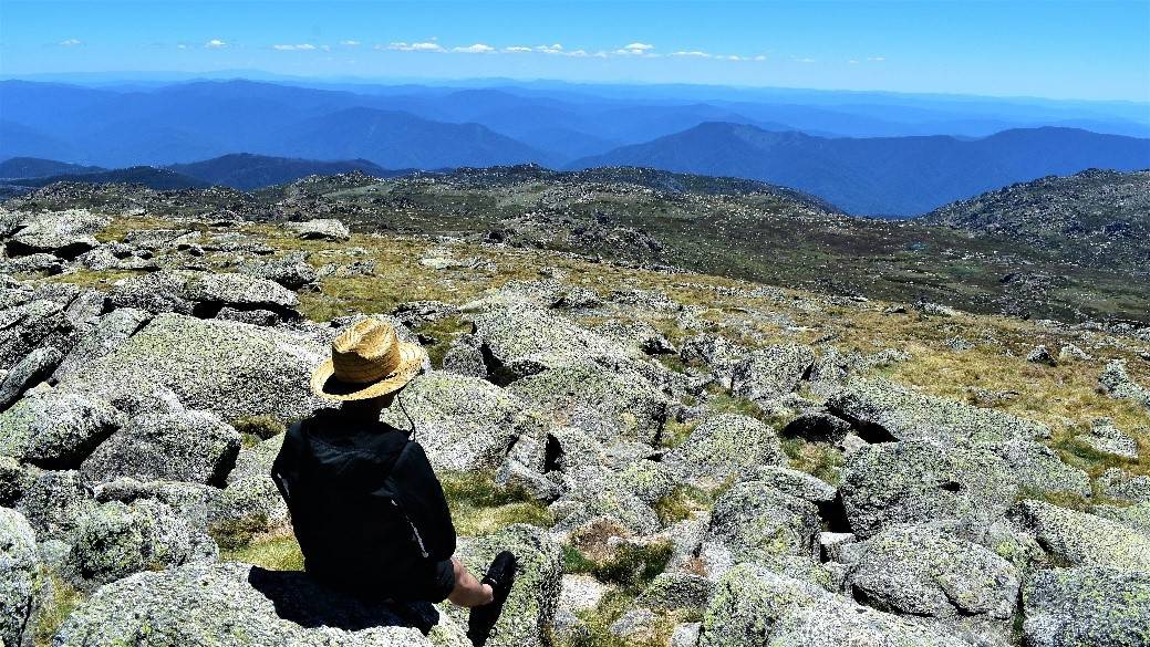 Alpine in the Summer? Yep, it's a Thing - Alpine Activity Centre ...